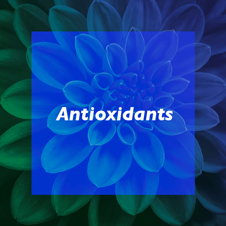 Antioxidants - Global Health Clinics